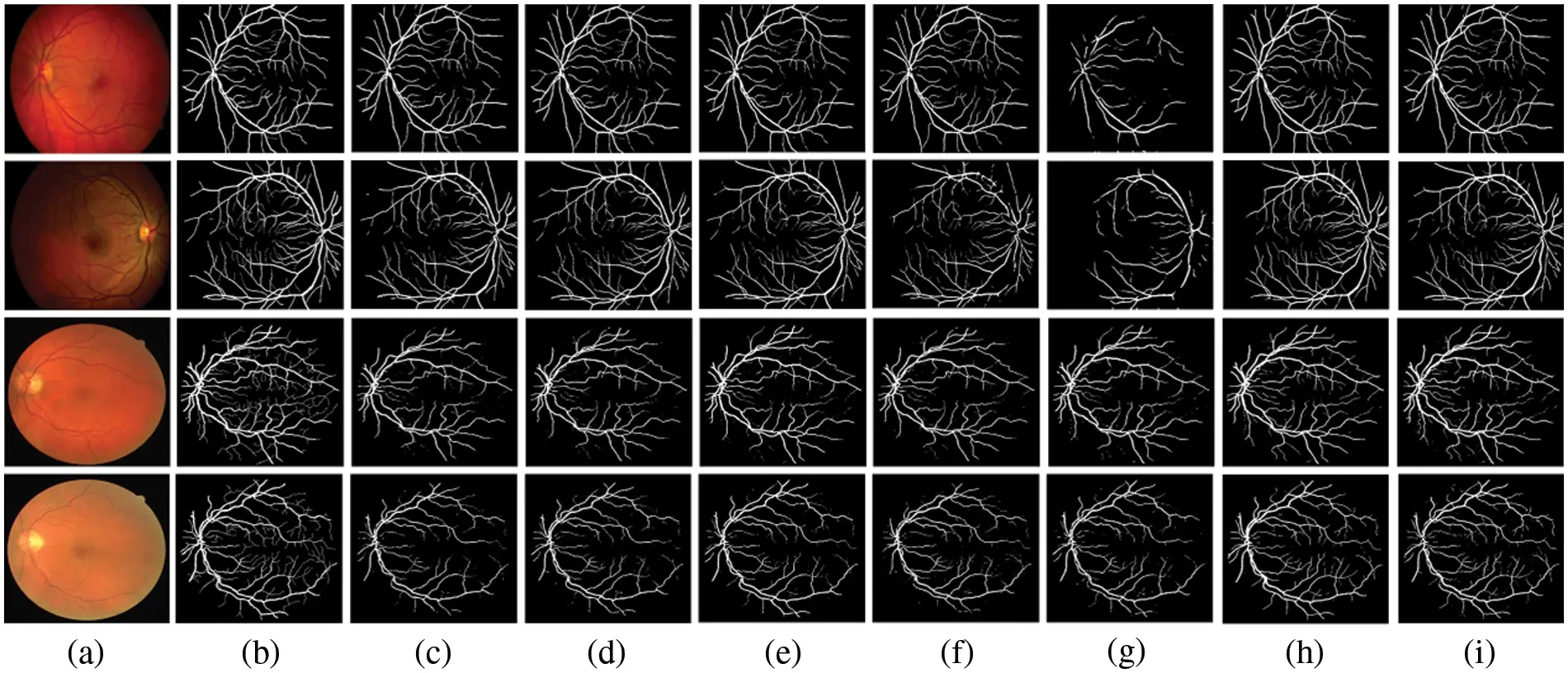 CMES | Free Full-Text | Dual-Branch-UNet: A Dual-Branch Convolutional ...