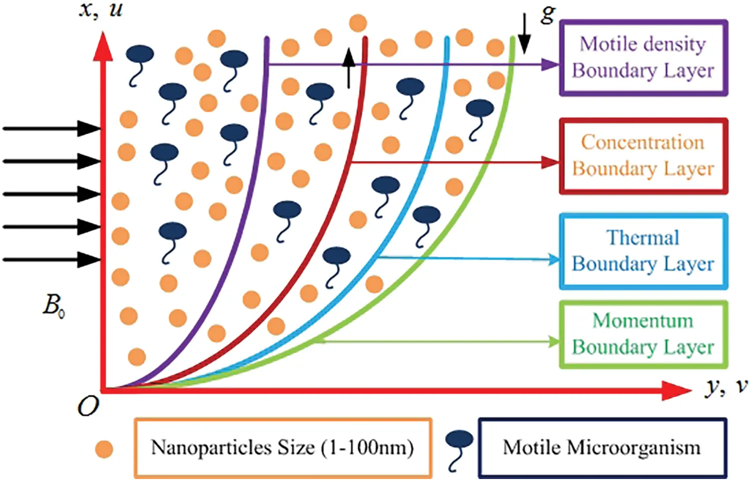 CMES | Free Full-Text | Execution of Bioconvective Radiative ...