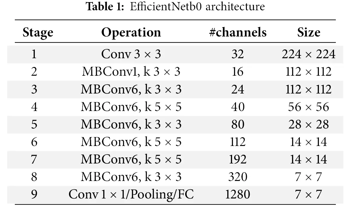 CMES | Free Full-Text | EFI-SATL: An EfficientNet and Self-Attention Based Biometric Recognition ...