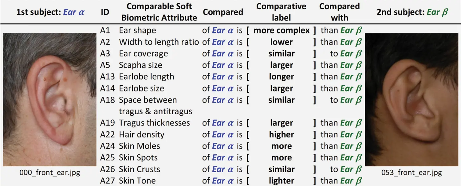 CMES | Free Full-Text | Augmented Deep-Feature-Based Ear Recognition ...