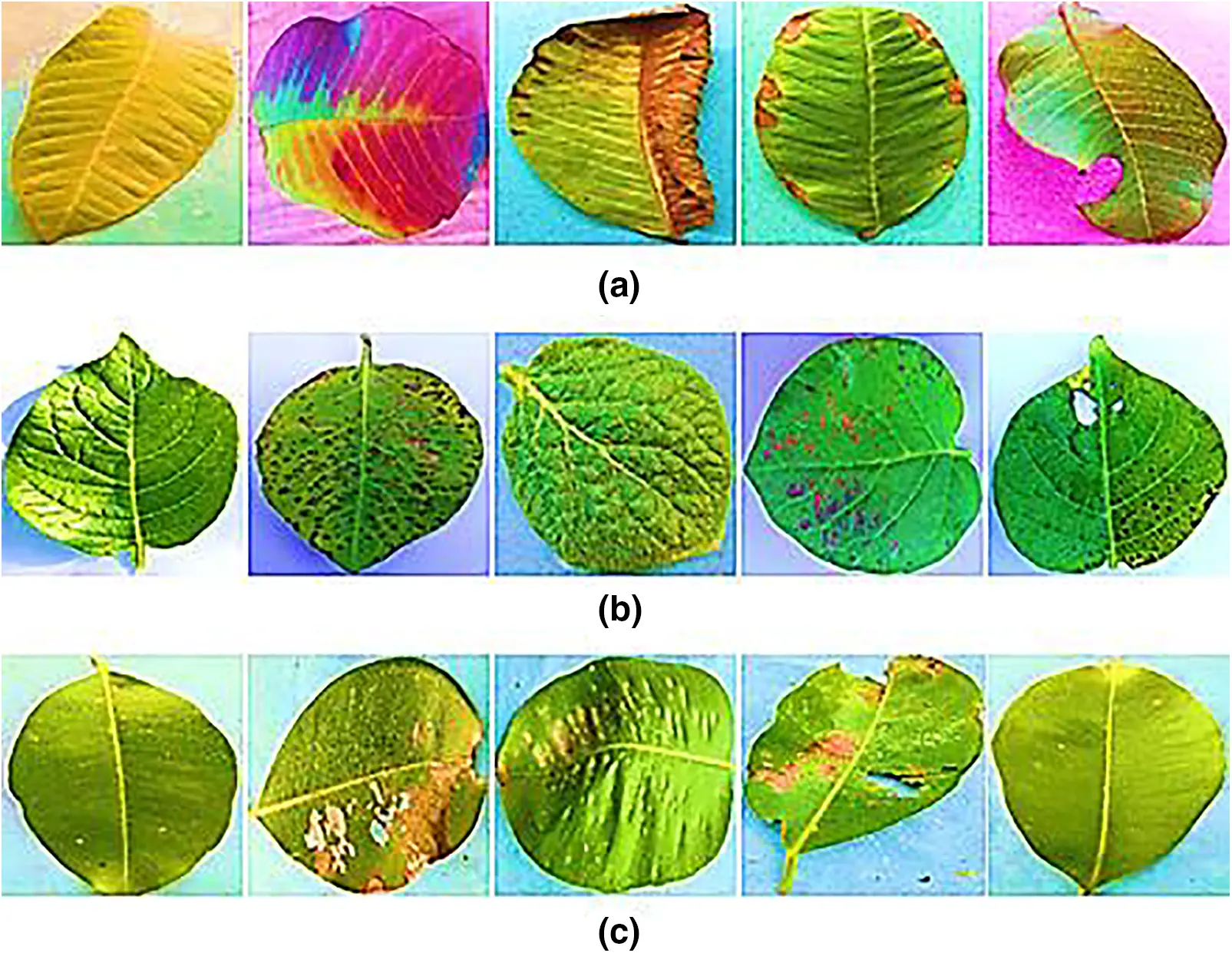 CMC | Free Full-Text | A Hybrid Deep Learning Approach to Classify the ...