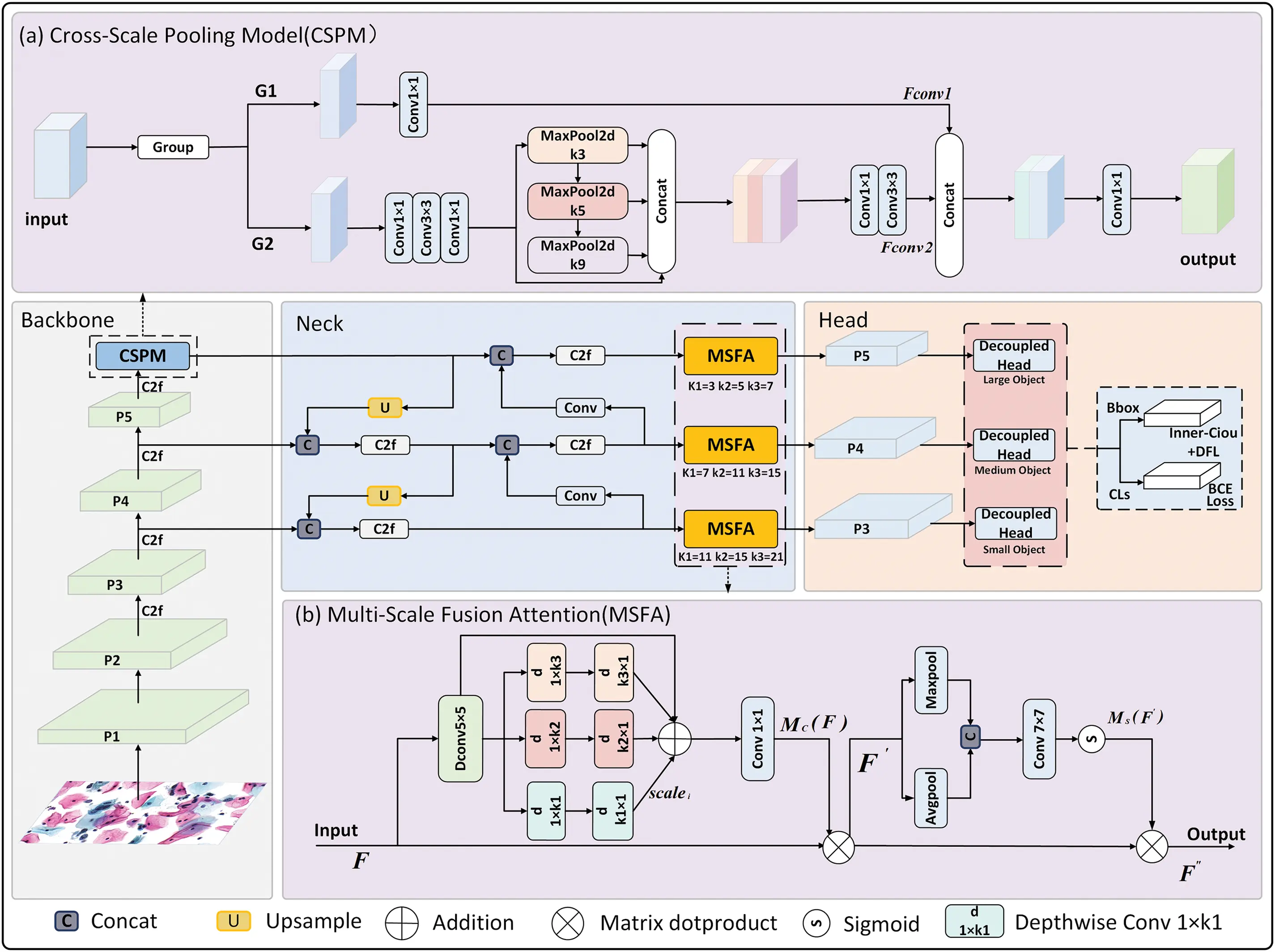 CMC | Free Full-Text | Multi-Scale Feature Fusion Network for Accurate Detection of Cervical ...