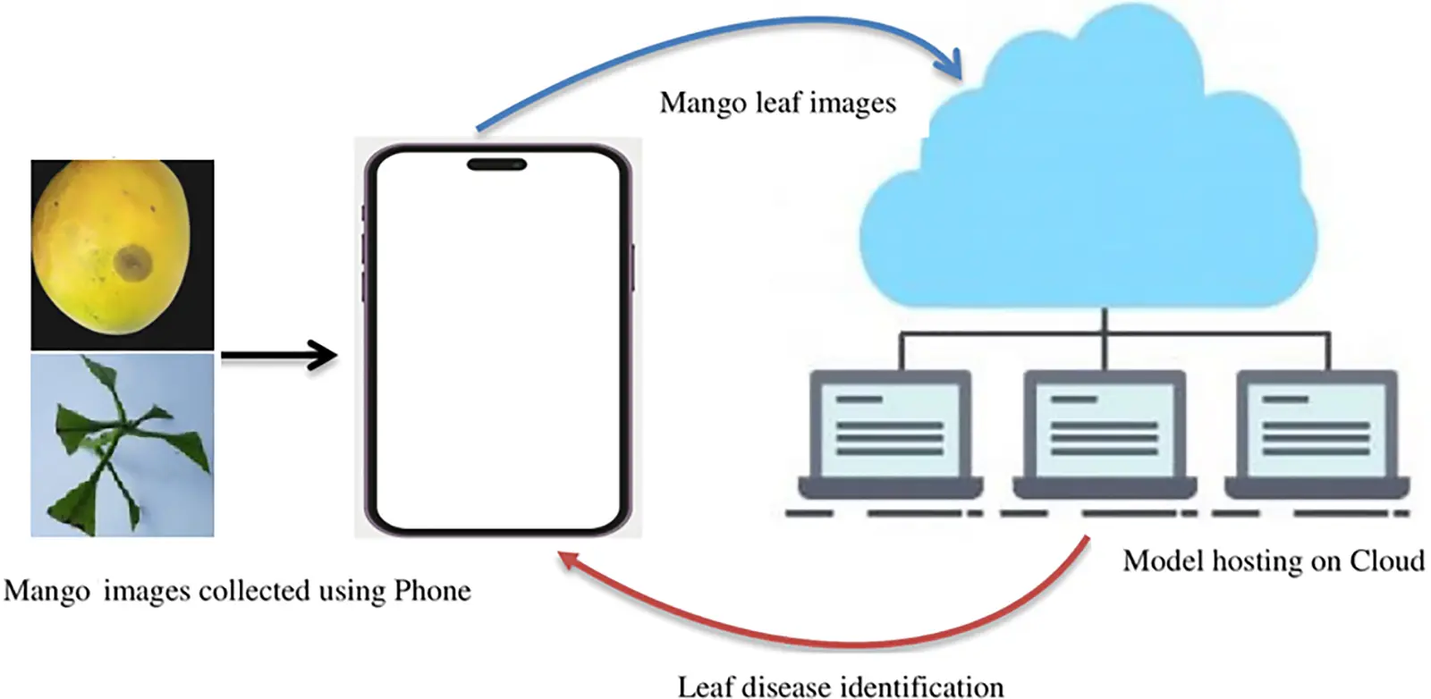 CMC | Free Full-Text | Mango Disease Detection Using Fused Vision ...