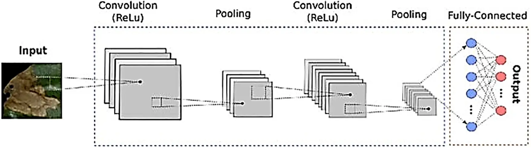 CMC | Free Full-Text | Detection and Classification of Fig Plant Leaf Diseases Using Convolution ...