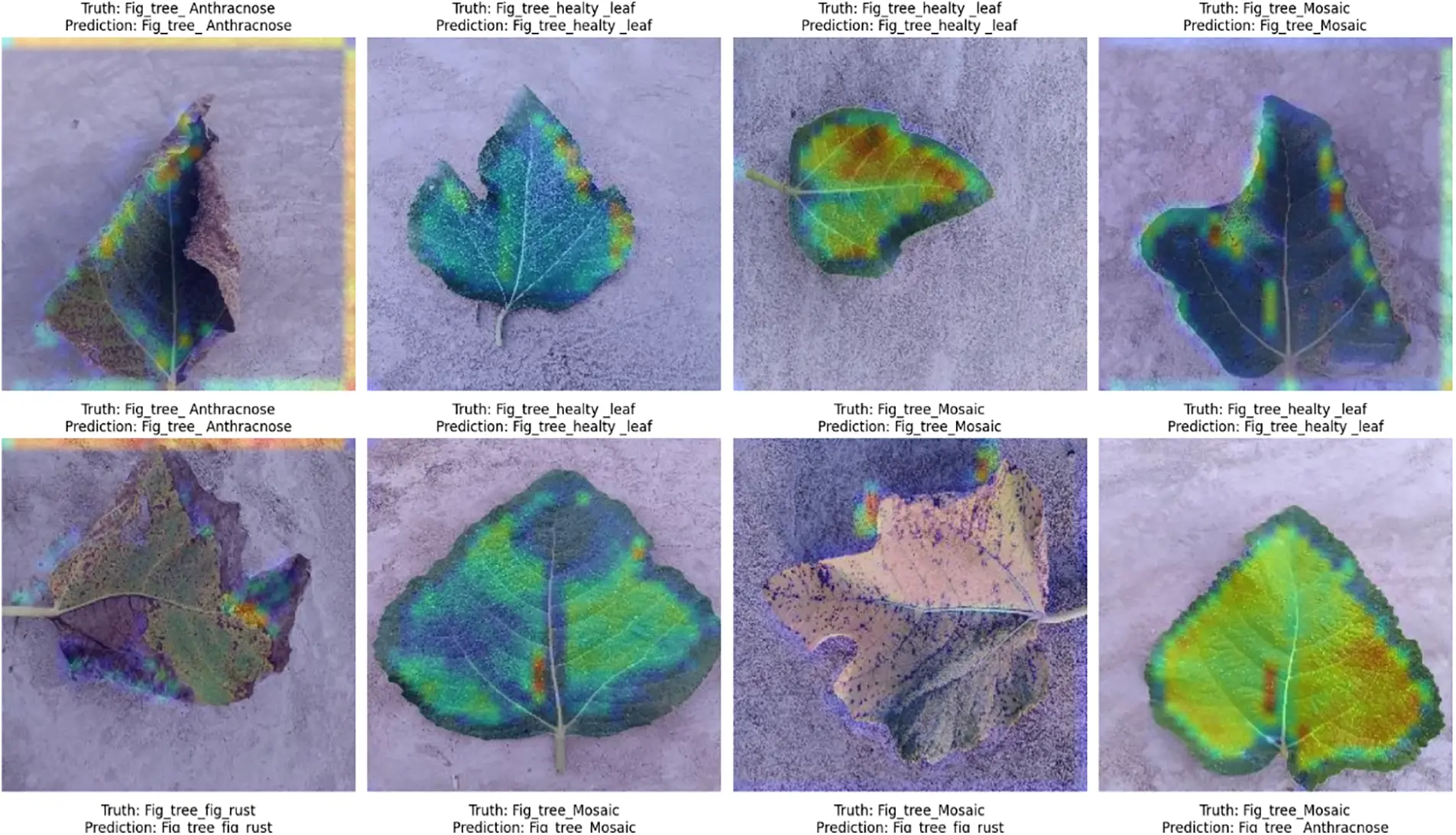CMC | Free Full-Text | Detection and Classification of Fig Plant Leaf Diseases Using Convolution ...