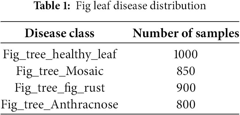 CMC | Free Full-Text | Detection and Classification of Fig Plant Leaf Diseases Using Convolution ...