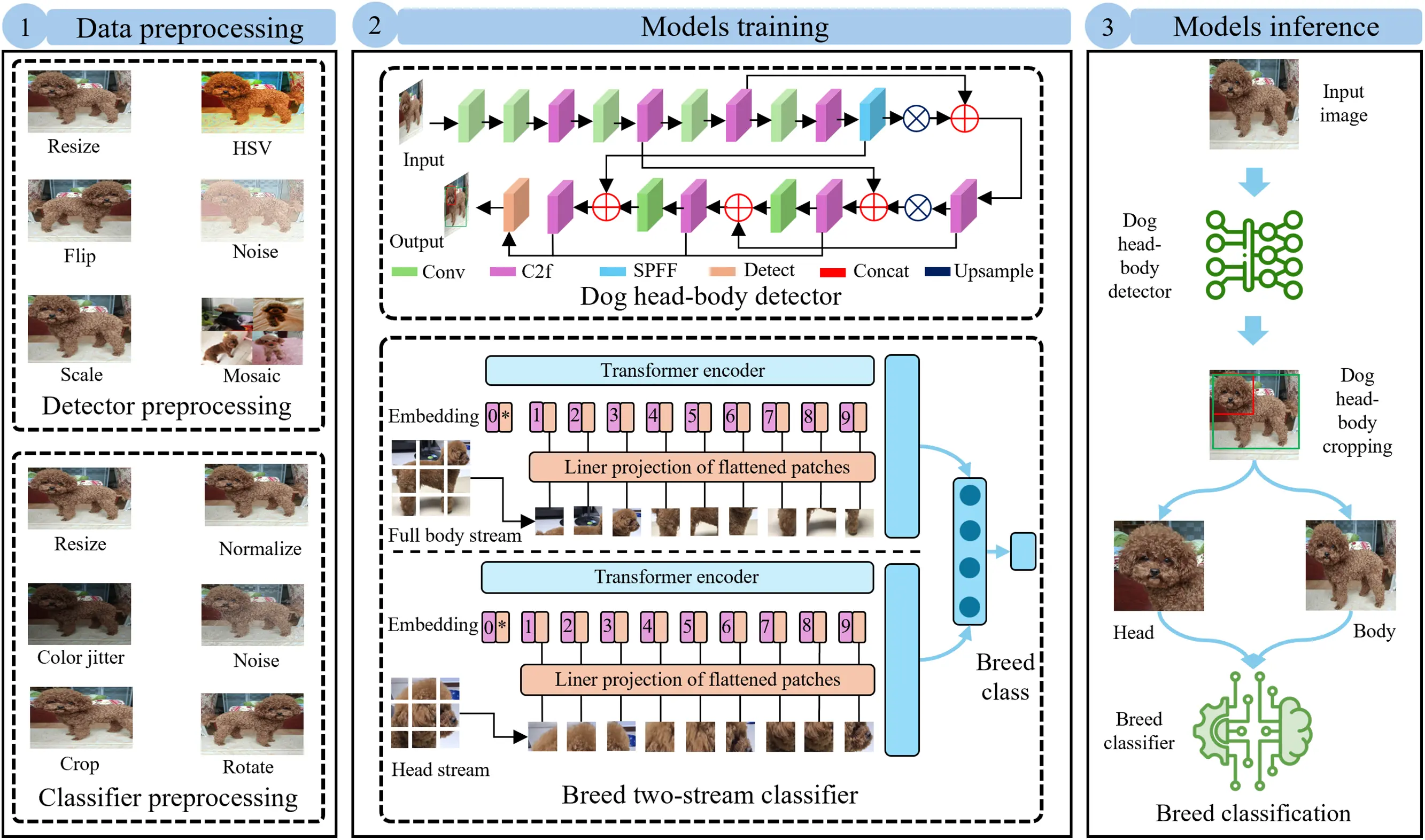 CMC | Free Full-Text | Head-Body Guided Deep Learning Framework for Dog ...