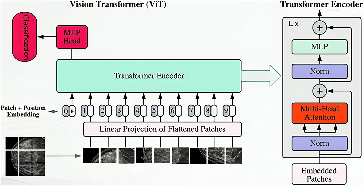 CMC | Free Full-Text | Advancing Breast Cancer Molecular Subtyping: A ...