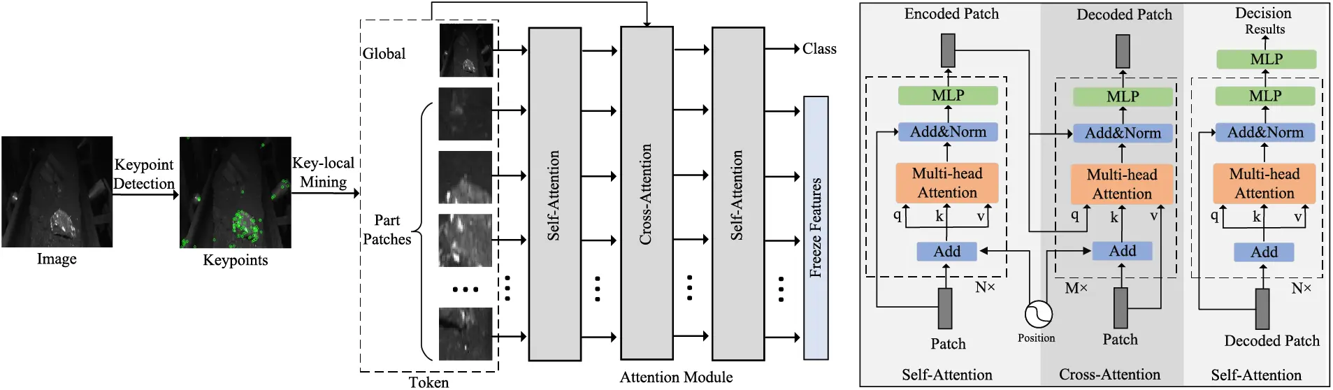 CMC | Free Full-Text | KPA-ViT: Key Part-Level Attention Vision ...