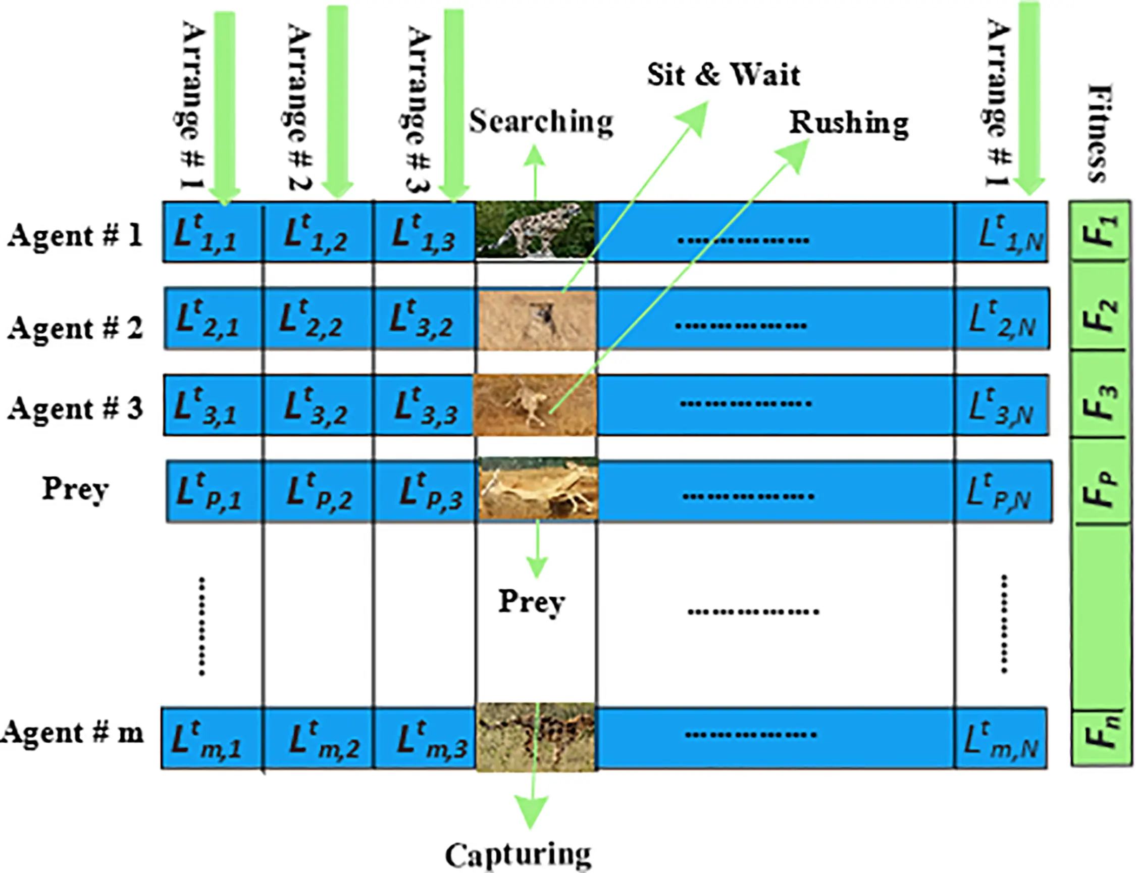 CMC | Free Full-Text | Multi-Objective Enhanced Cheetah Optimizer for ...