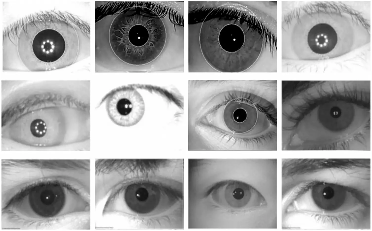 CSSE | Free Full-Text | Biometric Verification System Using ...