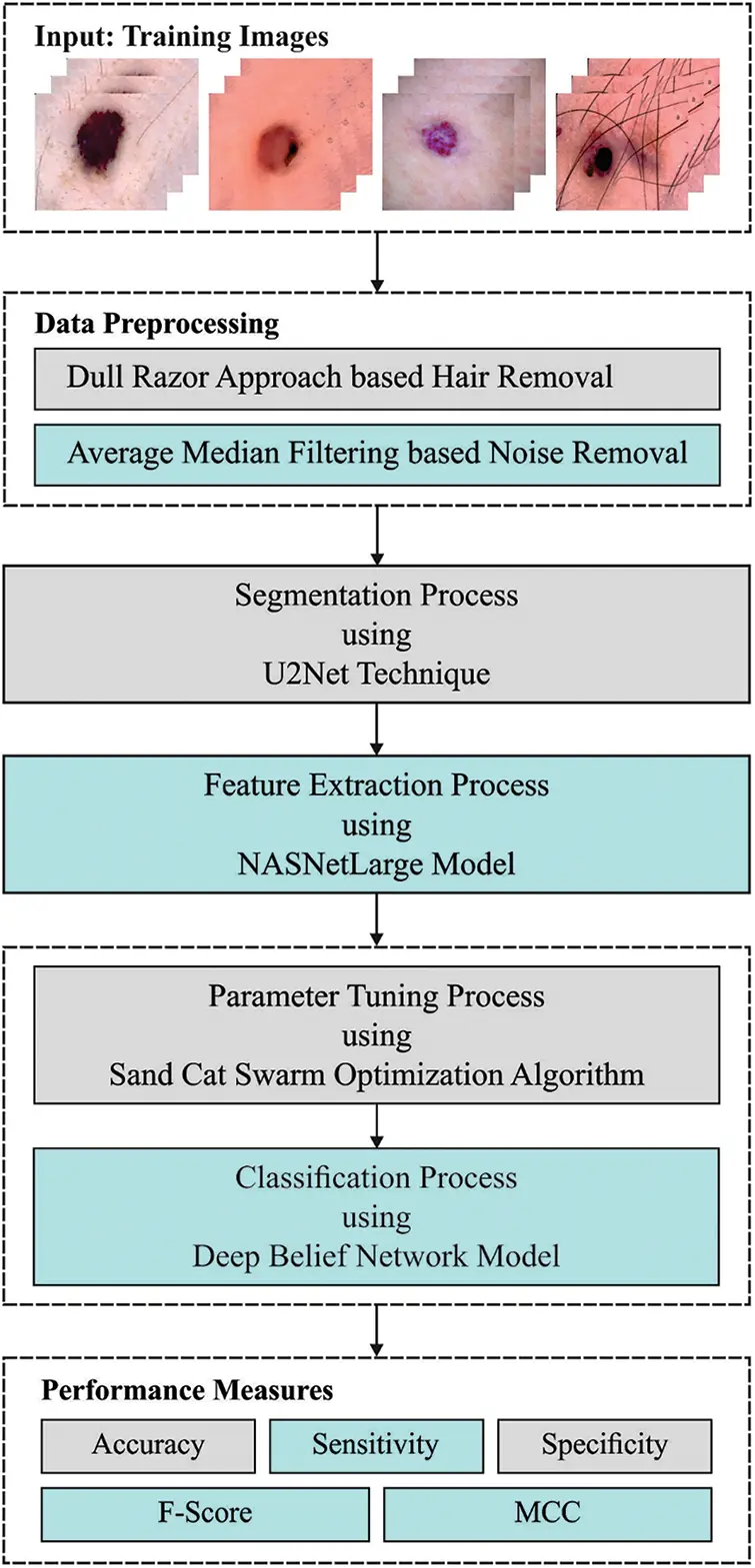CSSE | Free Full-Text | Sand Cat Swarm Optimization with Deep Transfer Learning for Skin Cancer ...