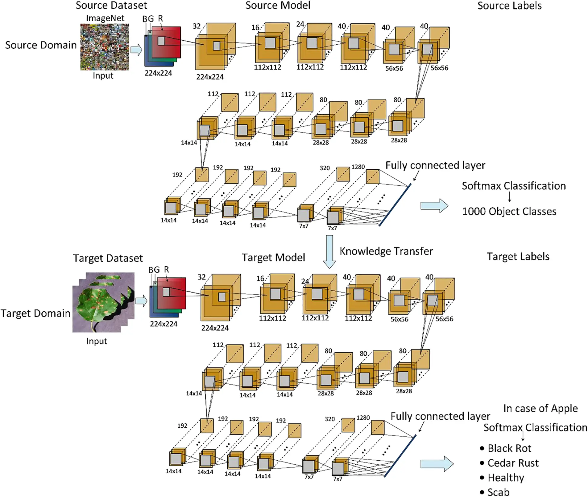 CSSE | Free Full-Text | An Artificial Intelligence-Based Framework for Fruits Disease ...