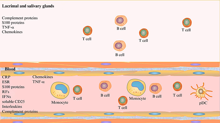 ECN | Free Full-Text | Identification of inflammatory markers as ...