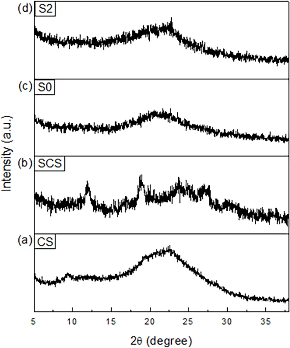 ENERGY | Free Full-Text | Influence of Sulfonated Chitosan on ...