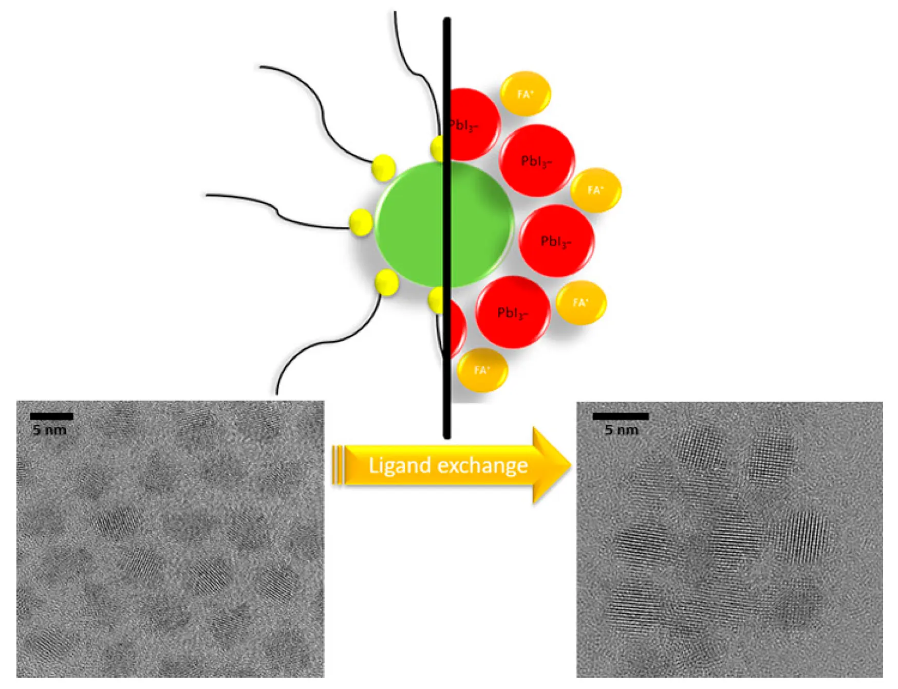 FDMP | Free Full-Text | Fluid Dynamics of Quantum Dot Inks: Non ...