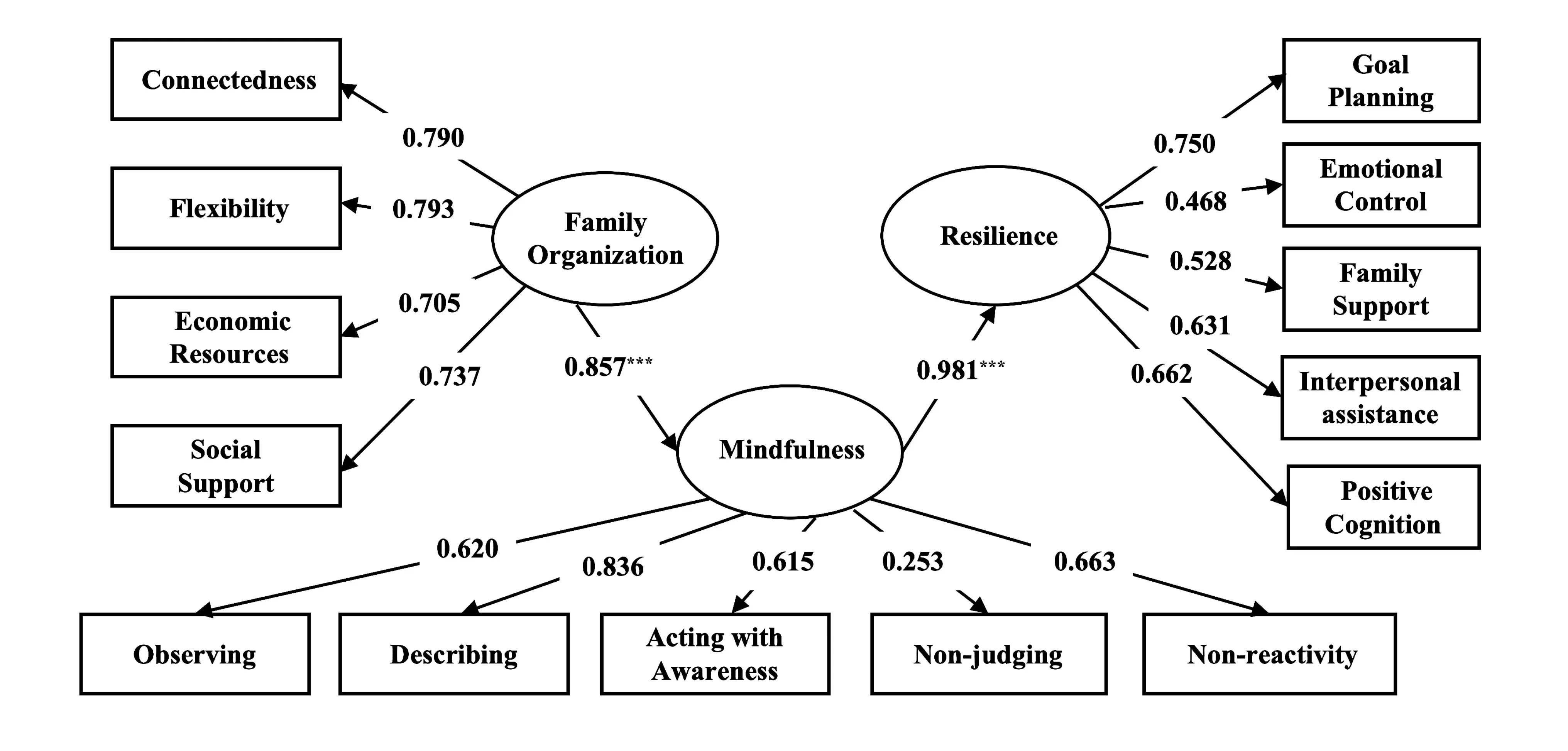 IJMHP | Free Full-Text | Family Organization and Resilience in Chinese ...