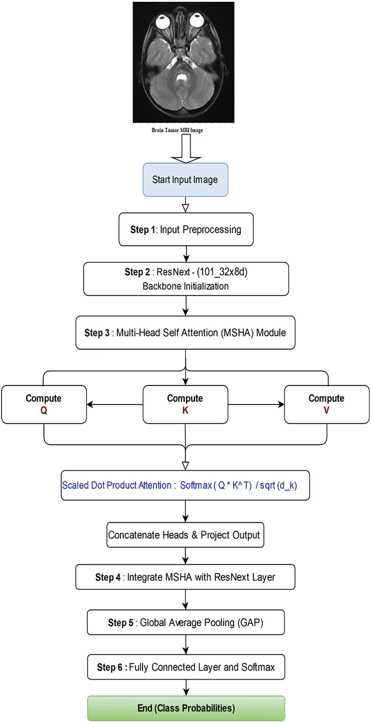 JAI | Free Full-Text | Enhanced Classification of Brain Tumor Types ...