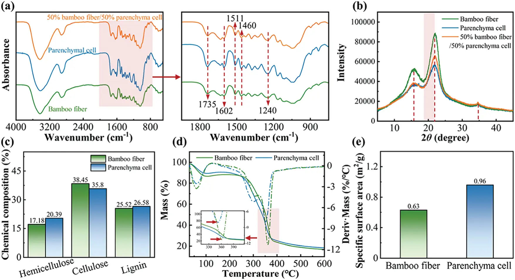 JRM | Free Full-Text | Bamboo Parenchymal Cells: An Untapped Bio-Based ...