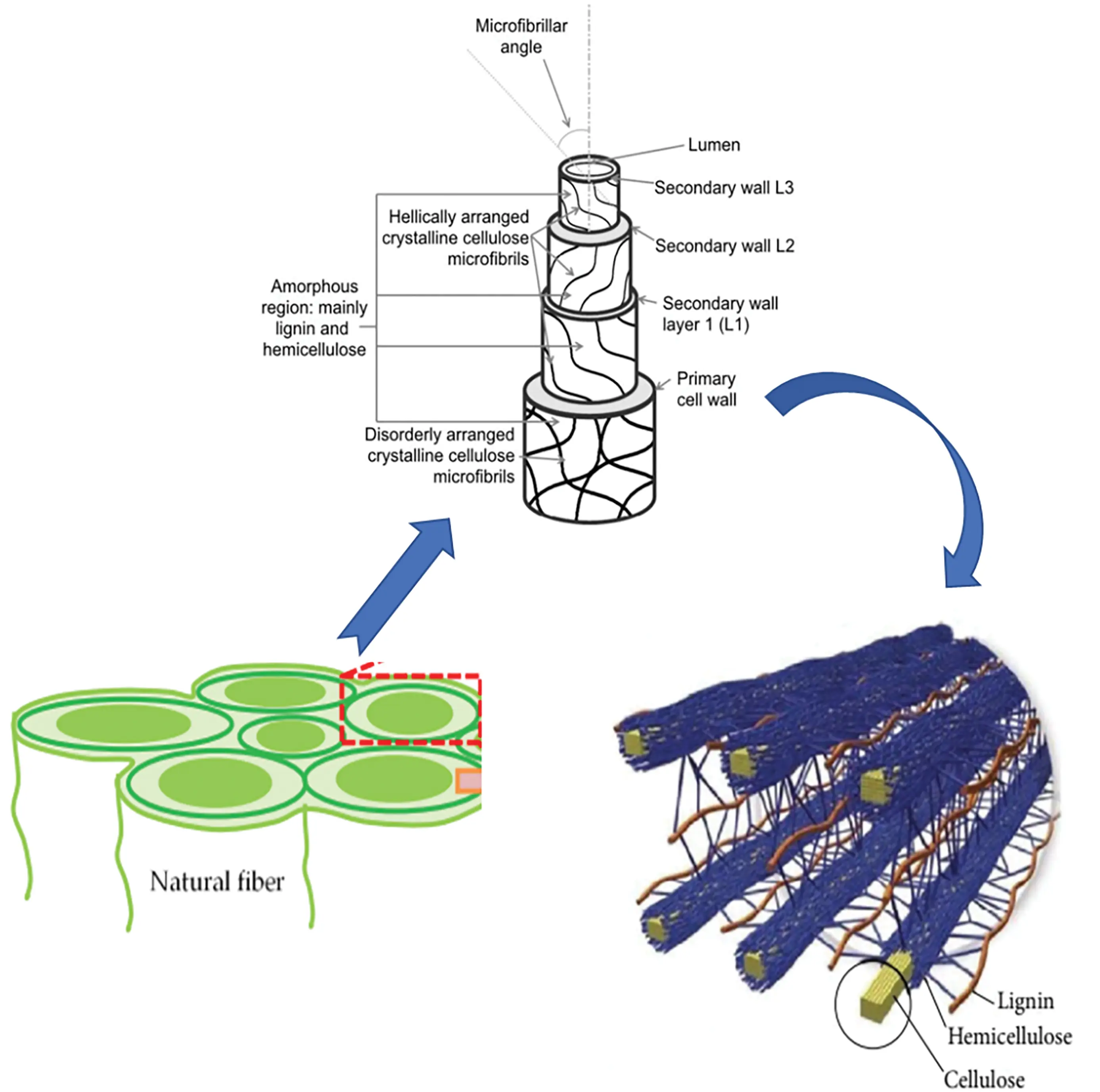 JRM | Free Full-Text | A Comprehensive Review of Natural Fibers: Bio ...