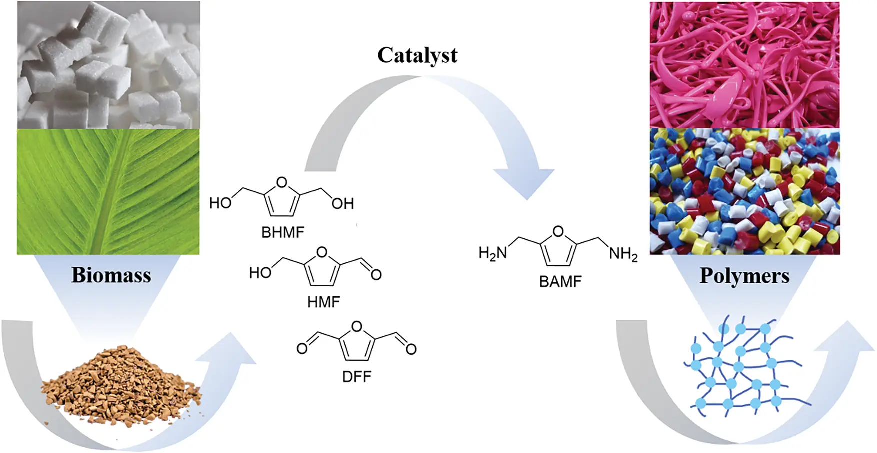 JRM | Free Full-Text | The Reductive Amination of Biomass-Based ...