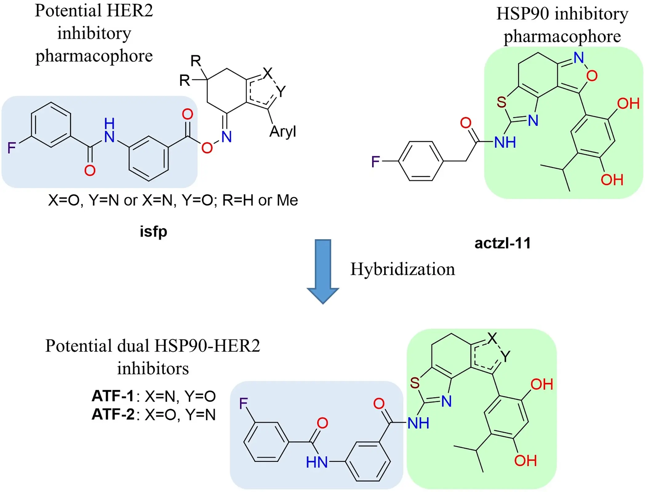 OR | Free Full-Text | Targeting HER2-Positive HCC1954 Breast Cancer ...