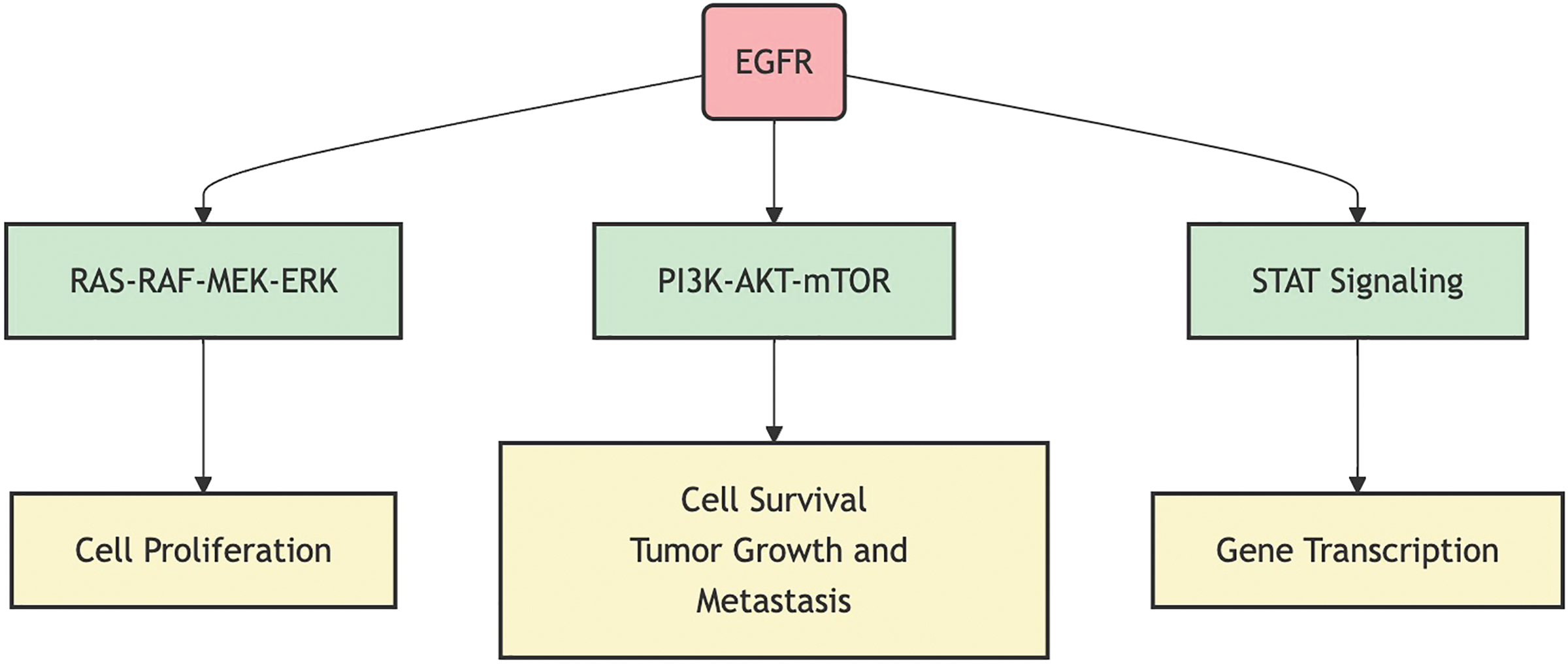 OR | Free Full-Text | Multimodal omics analysis of the EGFR signaling pathway in non-small cell ...