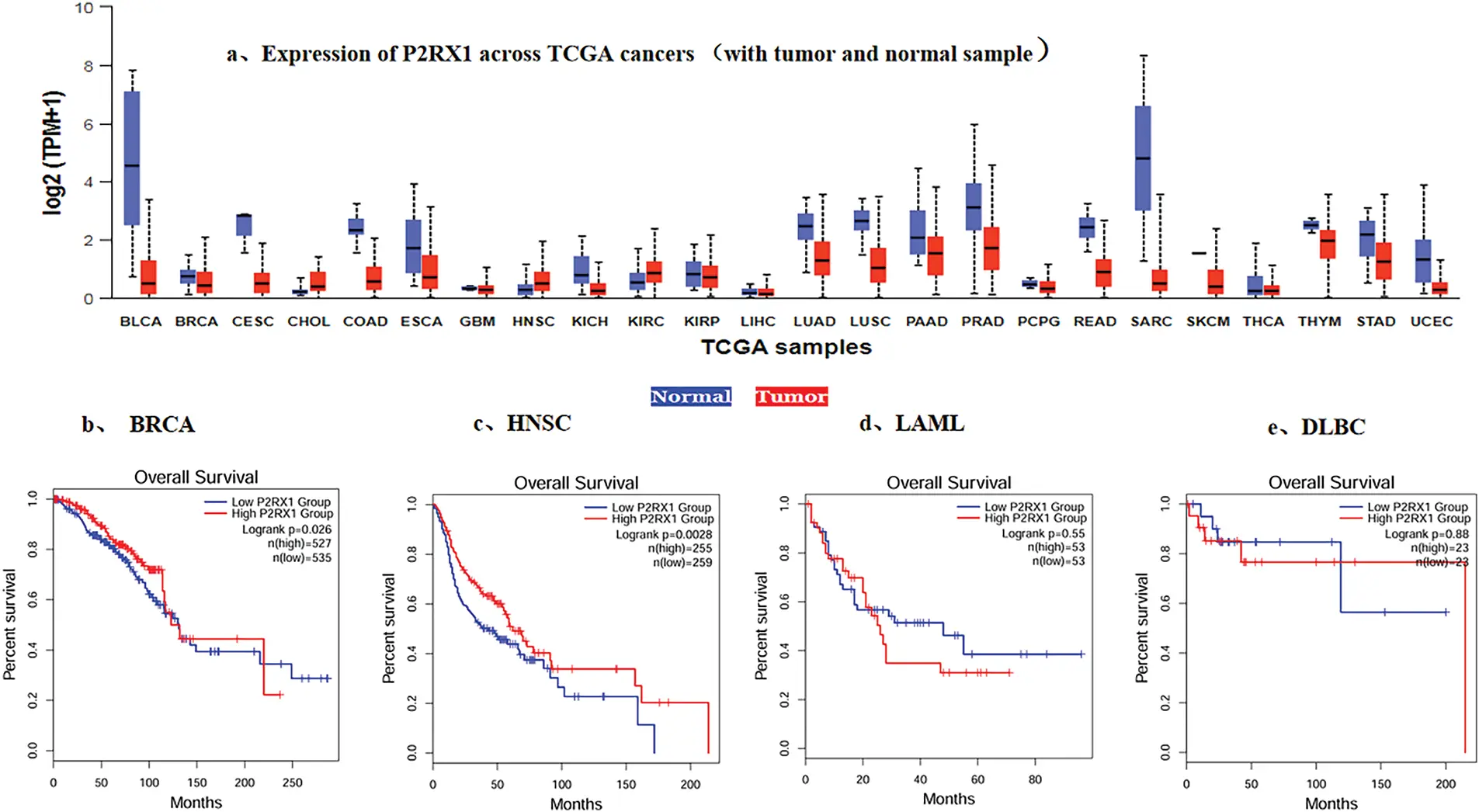OR | Free Full-Text | P2RX1 Influences the Prognosis of Ph+/Ph-Like ALL ...