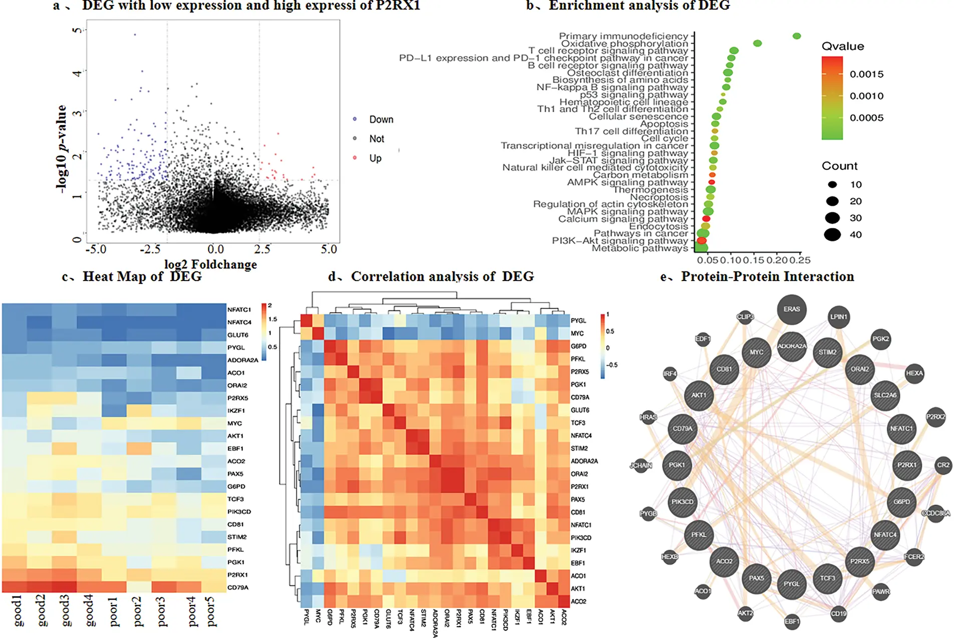 OR | Free Full-Text | P2RX1 Influences the Prognosis of Ph+/Ph-Like ALL ...