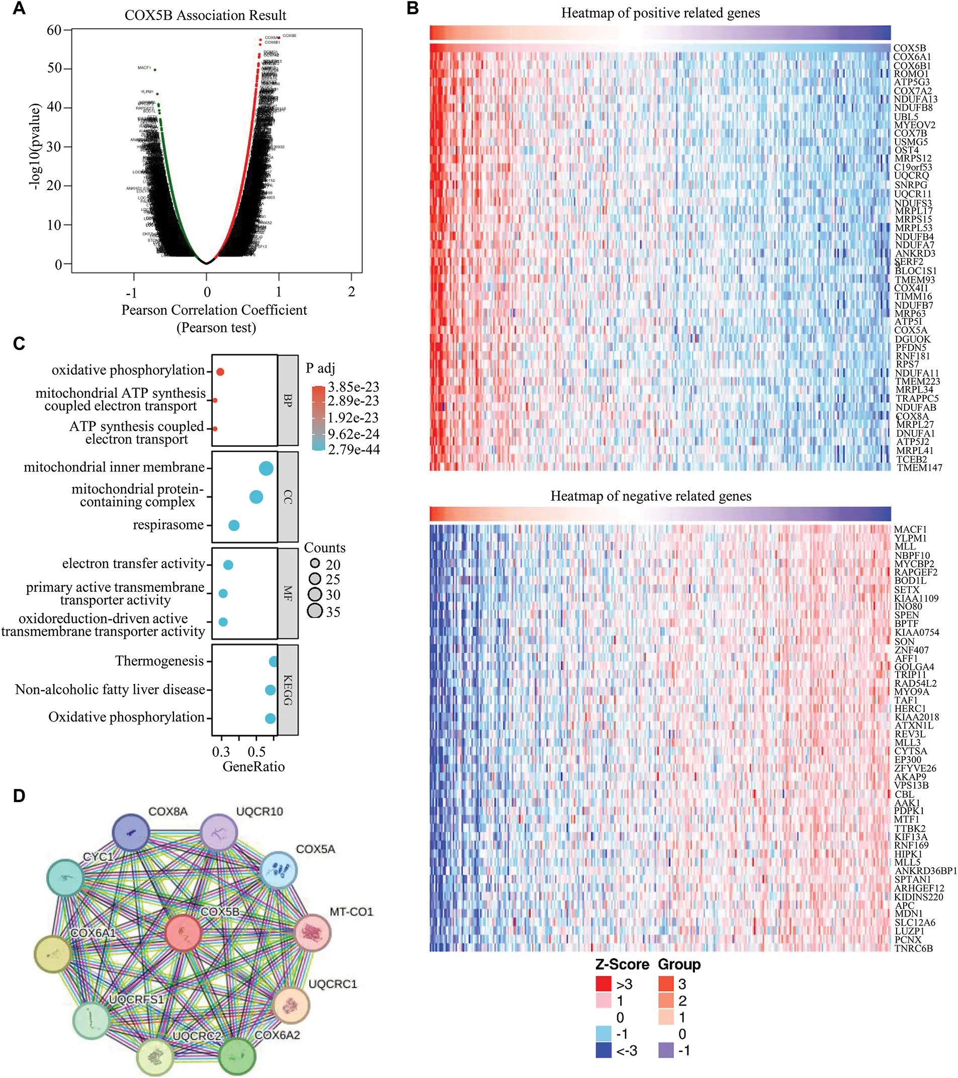 OR | Free Full-Text | Integrative Multi-Omics Analysis and Experiments ...