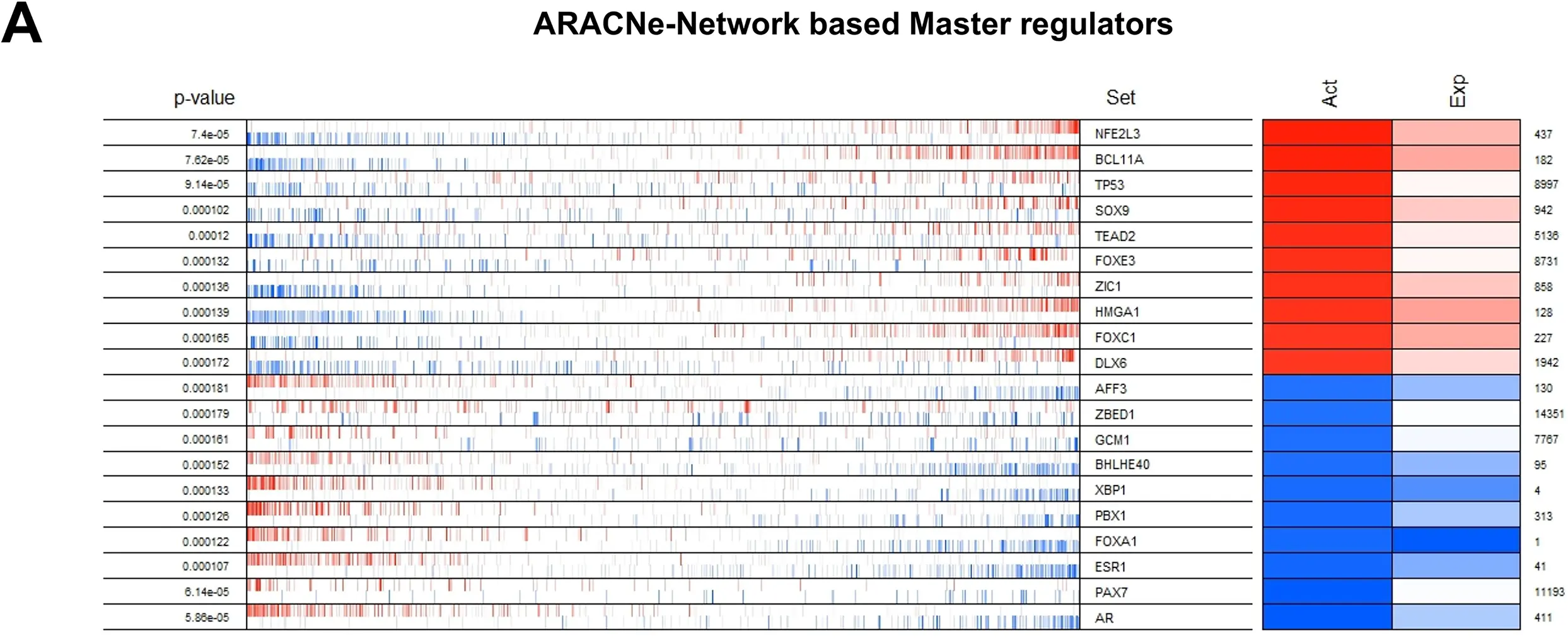 OR | Free Full-Text | BHLHE40 Is a Transcriptional Regulatory Target of ...