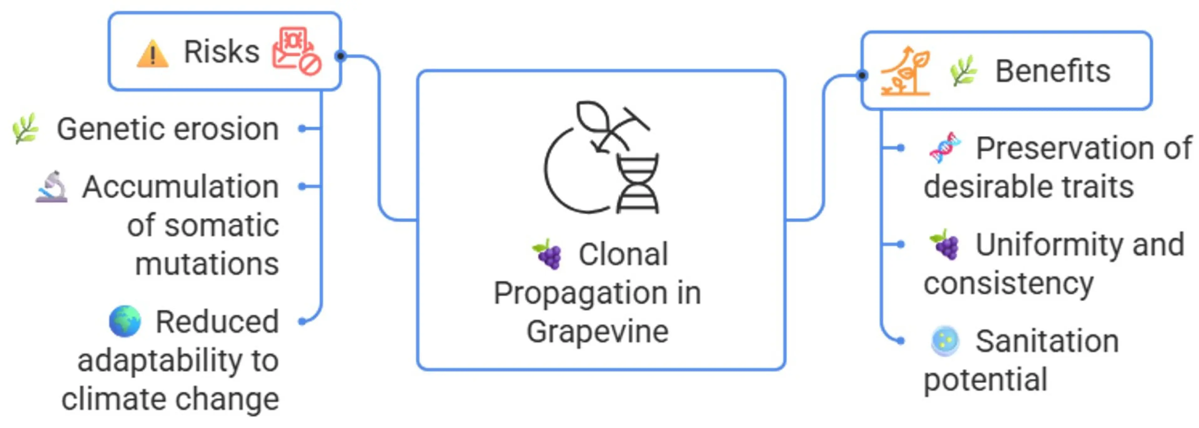 PHYTON | Free Full-Text | Advances in Grapevine Breeding: Integrating ...