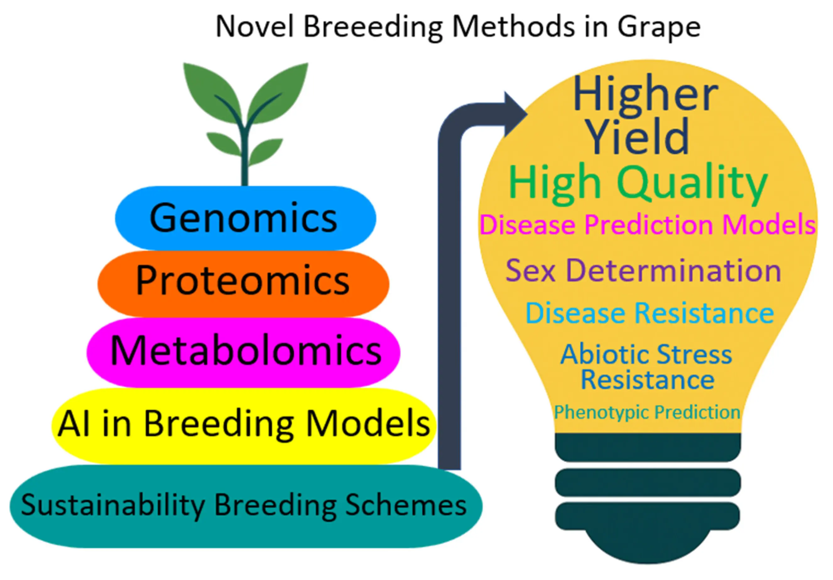 PHYTON | Free Full-Text | Advances in Grapevine Breeding: Integrating ...
