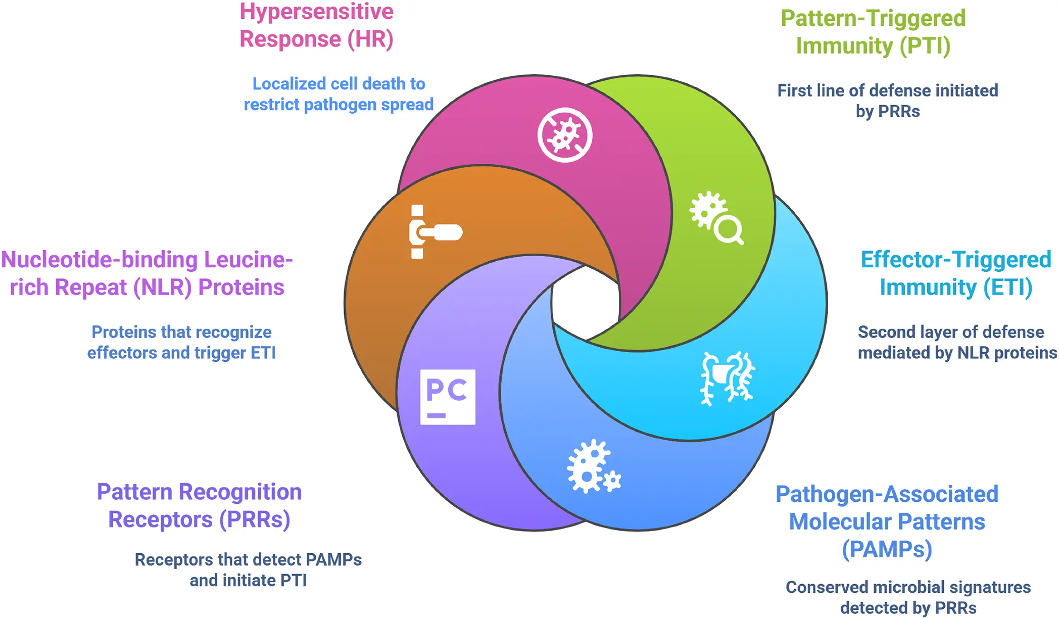 PHYTON | Free Full-Text | Integrative Perspectives on Multi-Level ...