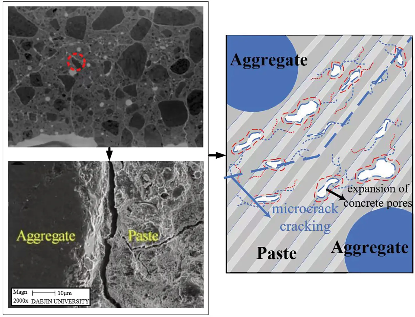 SDHM | Free Full-Text | Discrete Numerical Study on Type II Fracture of ...