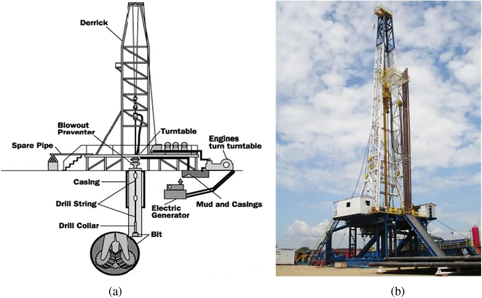 SDHM | Free Full-Text | Dynamic Interaction Analysis of Coupled Axial ...