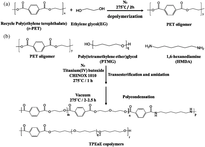 polyethylene terephthalate polymerization
