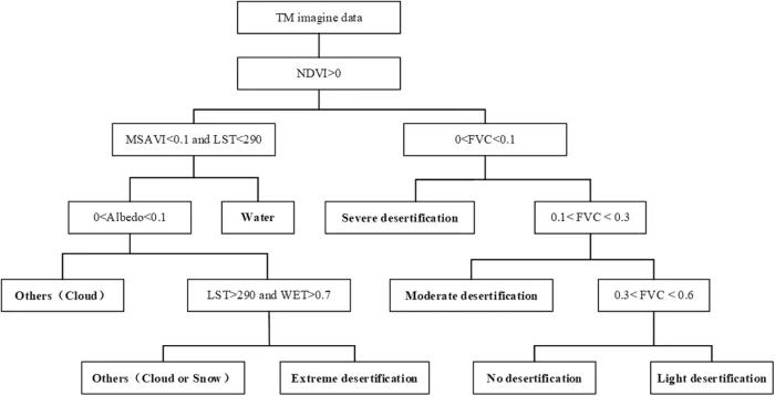 desertification flow diagram