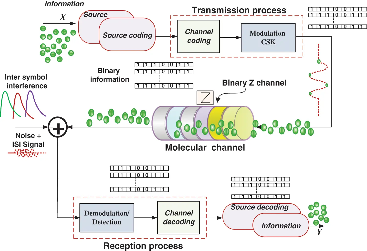 Embedded Coded Relay System for Molecular Communications
