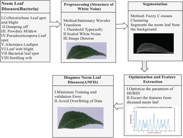 neem leaf extraction methods