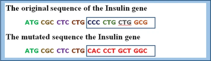 human insulin dna sequence