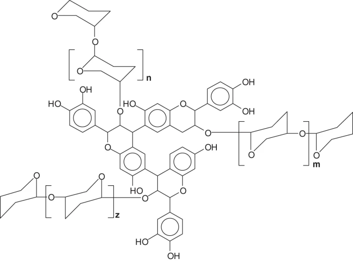 tannin basic structure