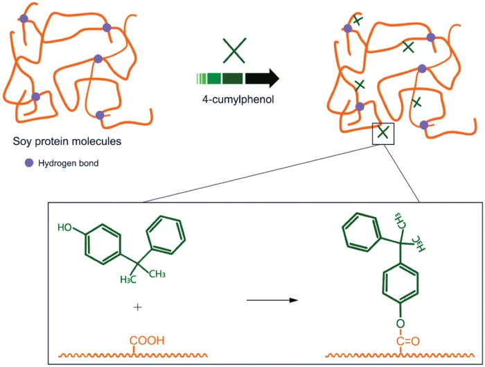 soy beans molecule