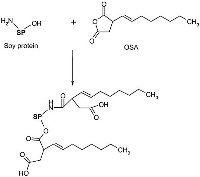 soybean structure