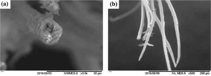 bamboo fiber microscope
