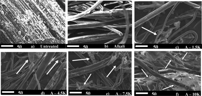 bamboo fiber microscope