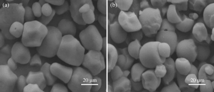 corn starch microscope