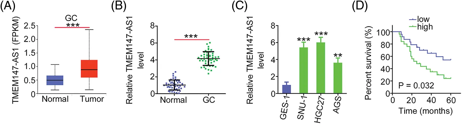 OR | Free Full-Text | Long noncoding RNA TMEM147-AS1 serves as a ...