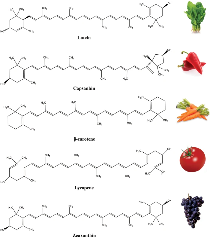 xanthophyll molecular structure