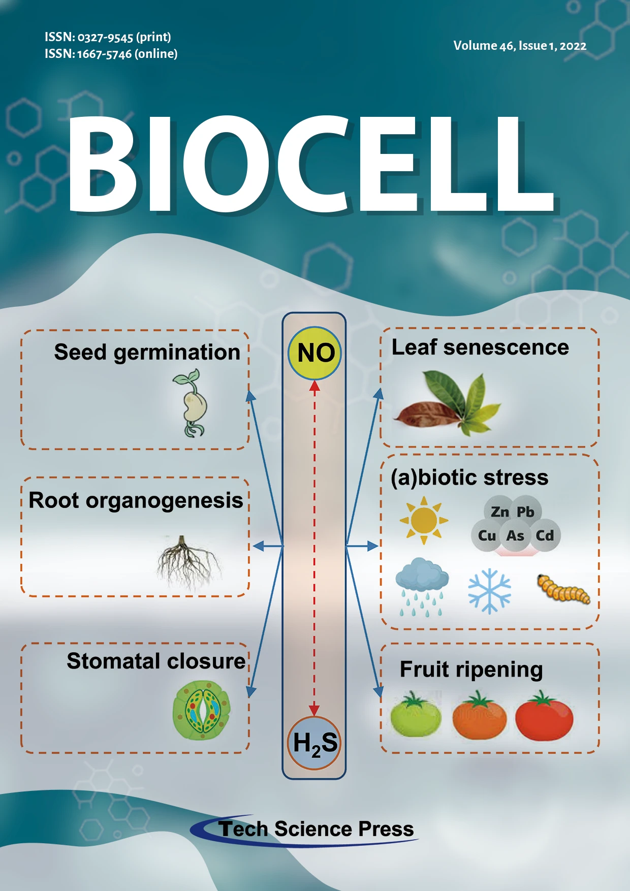 BIOCELL-Vol. 46, No. 1, 2022